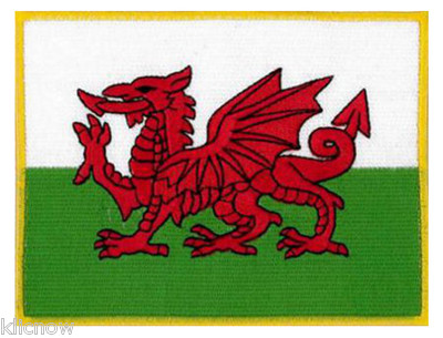 Wales (Welsh Dragon) Embroidered Patch 5"x 4" (13CM x10CM) | eBay UK