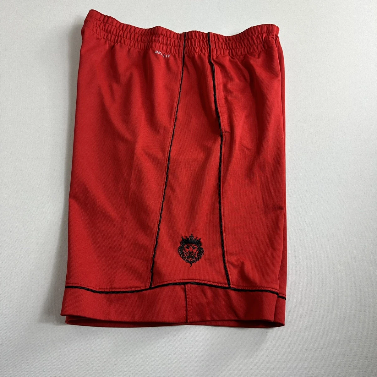 Lebron James Lion Shorts