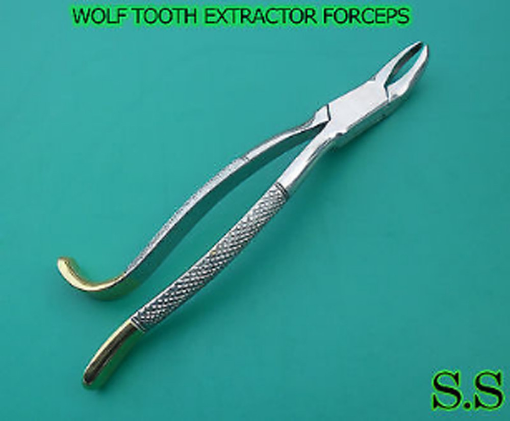 WOLF TOOTH EXTRACTOR FORCEPS DENTAL EQUINE INSTRUMENTS | eBay