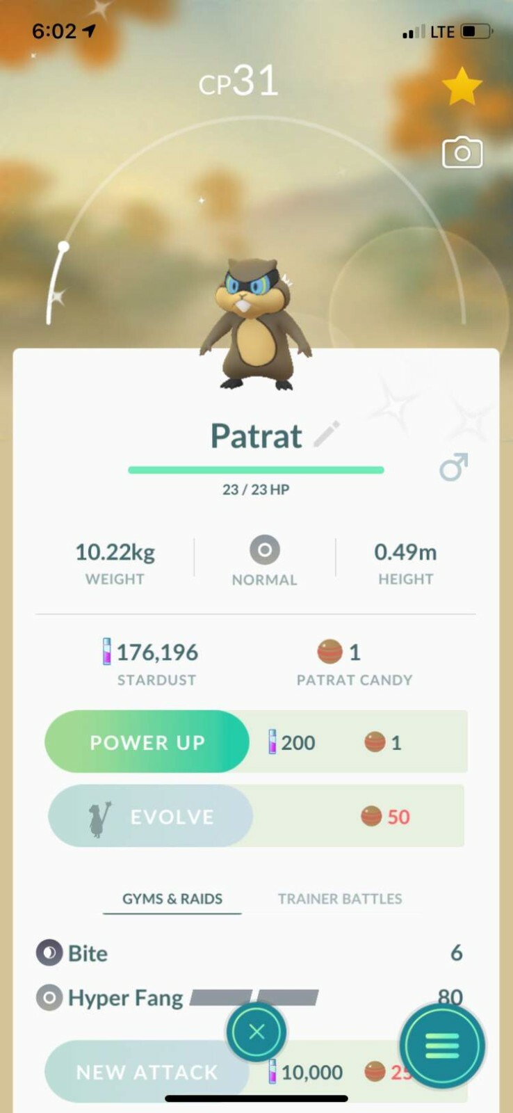 SHINY PATRAT!!! - PKMN GO!!! - NOT REGISTERED!!! | eBay