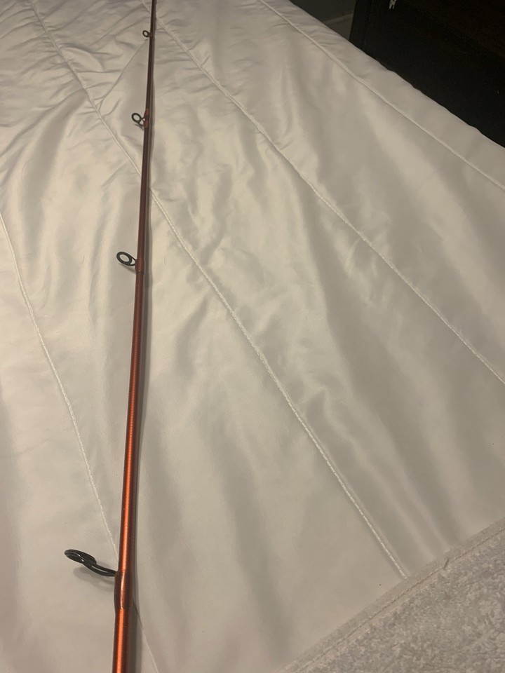 E21 Carrot Stix Micro Guide Spinning Rod | eBay