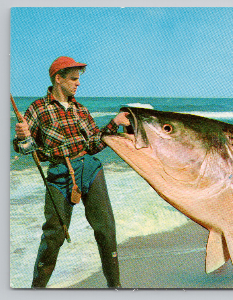 Funny Photoshopped Bass Fish 130+ Funny Bass Fishing Stock Photos,