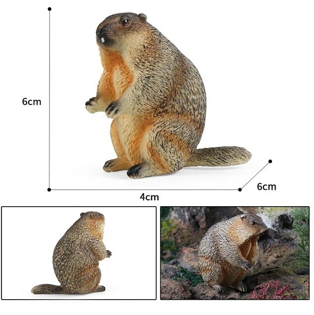 Marmot Animal Toy PVC Action Figure Doll Kids Toys Party Gifts | eBay