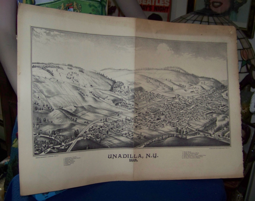 1974 Edition Of 1887 Map Of Unadilla NY | eBay