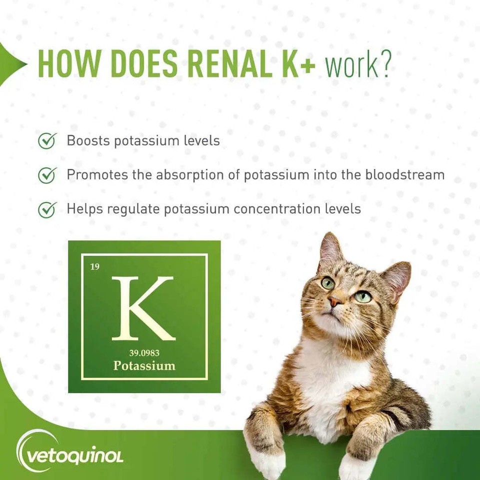 Vetoquinol Renal K + Potassium Gluconate & Vitamin B Oral Gel Cats ...