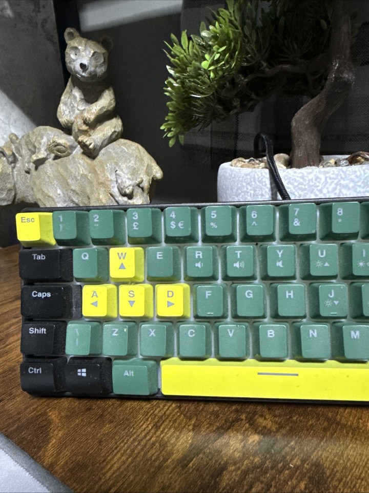 ZIYOU LANG K61 60% UK Layout Gaming Keyboard, Compact RGB Backlit STK61 ...