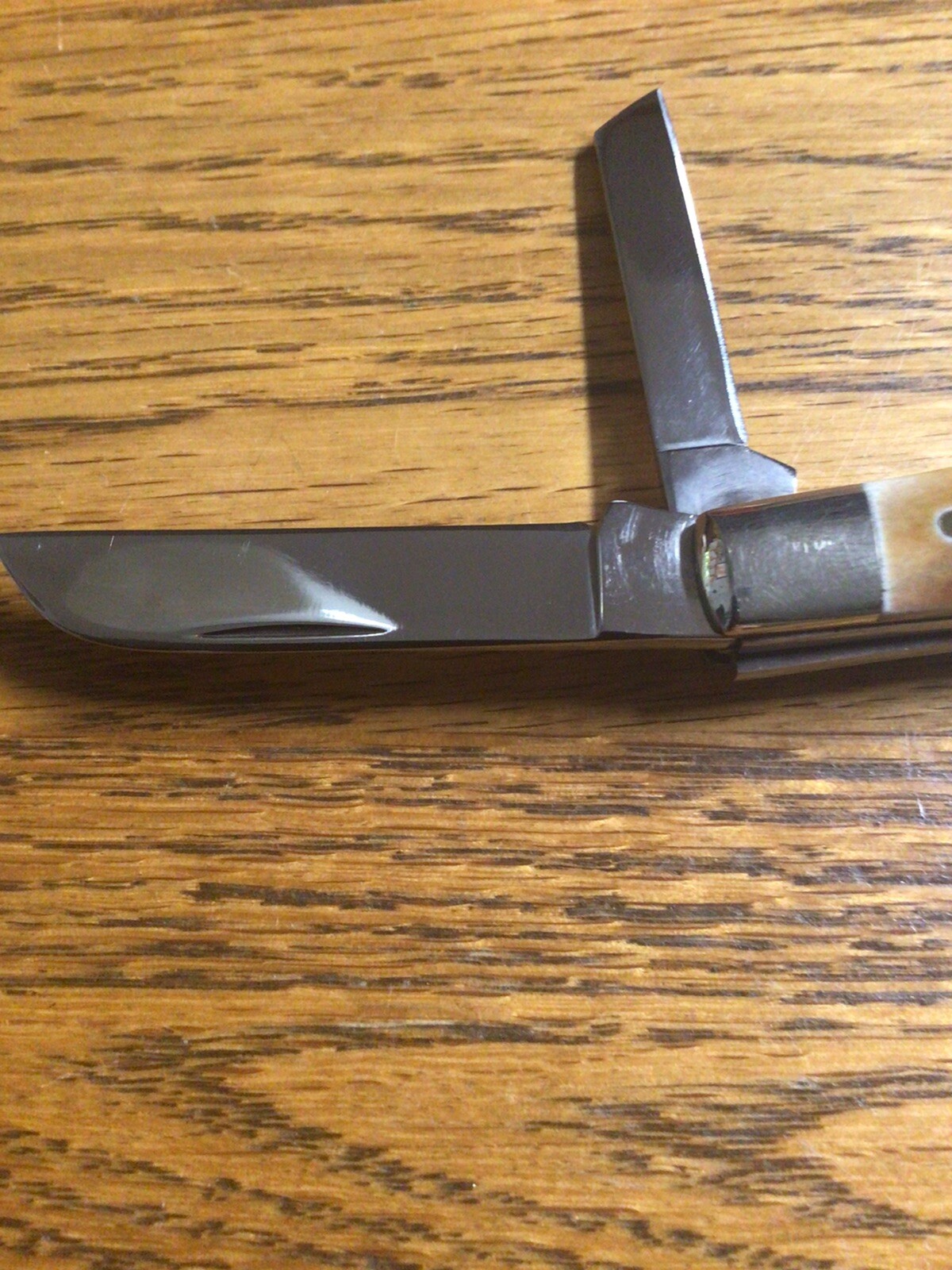 Colonel Coon Stag 4 blade Congress Knife | eBay
