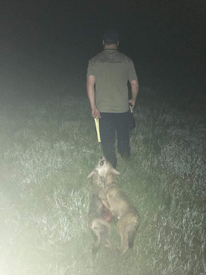 The Pocket Drag Ultimate Hunting Tool American Made Free Shipping | eBay