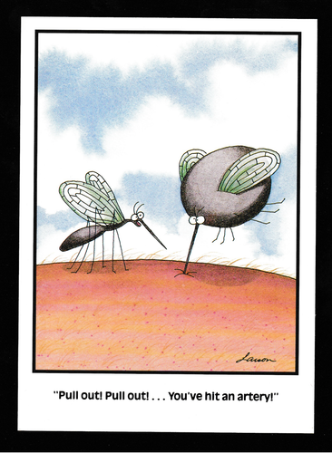 THE FAR SIDE Vintage BIRTHDAY GREETING CARD Gary Larson " YOU'VE HIT AN ...