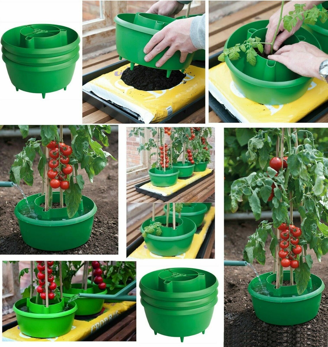 Tomato Plant Support Systems Tomato Plant Supports