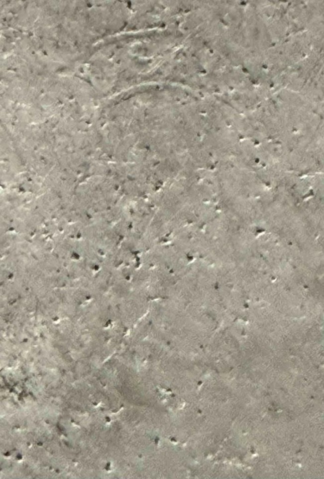 Antique American Pewter Plate, JOSEPH DANFORTH, Middletown, CT, c. 1780 ...