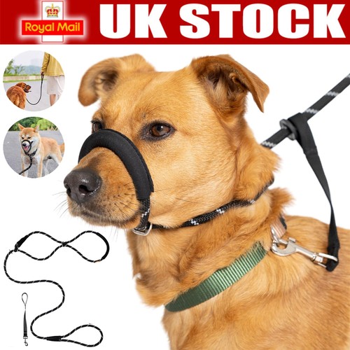 Pet Swivel Flat Figure of 8 Lead Halti Anti Pulling Dog Lead Leash ...