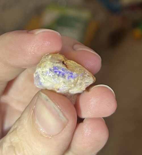 Stunning 6 Piece Australian Fire Opal Fossil Clam Shell Collection 142 ...