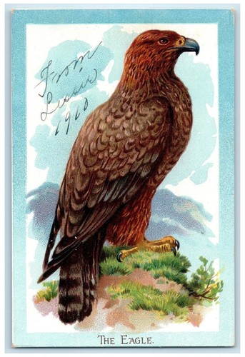 1910 The Golden Eagle Large And Powerful Bird Tuck's Posted Antique ...