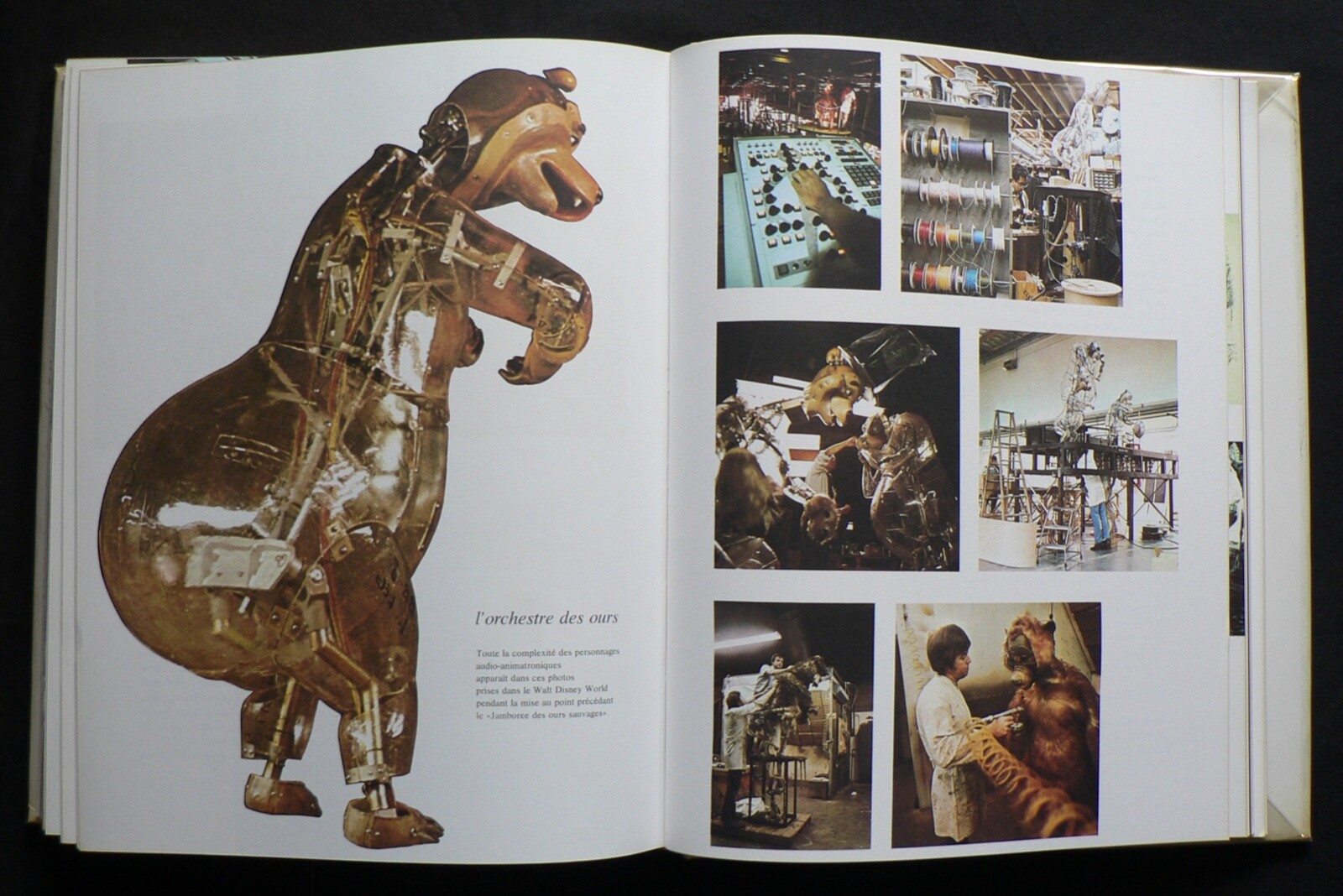 Notre Ami Walt Disney - Christopher Finch - Eds. Chêne - 1985 | eBay