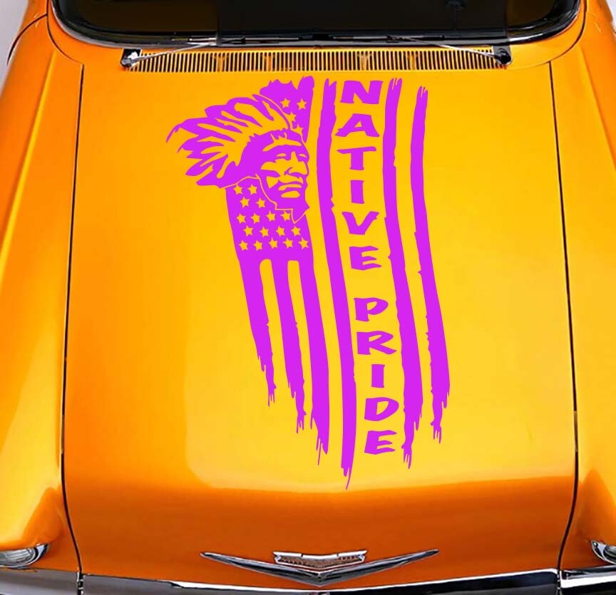 Native American Tattered Flag Chief Apache Navajo Pueblo Hopi Zuni ...