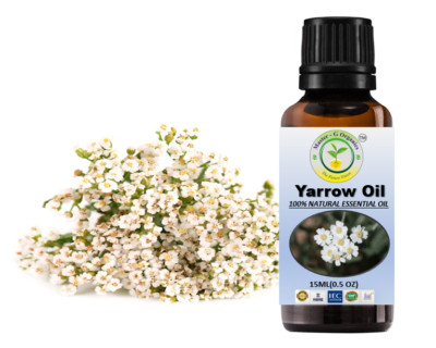 YARROW OIL 15ML (0.5 oz) 100% PURE AND NATURAL ESSENTIAL OILS (FREE ...