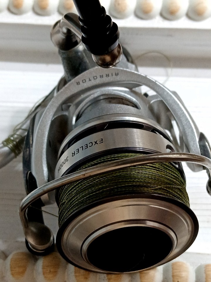 Daiwa EXCELER 3000H Spinning Fishing Reel | eBay