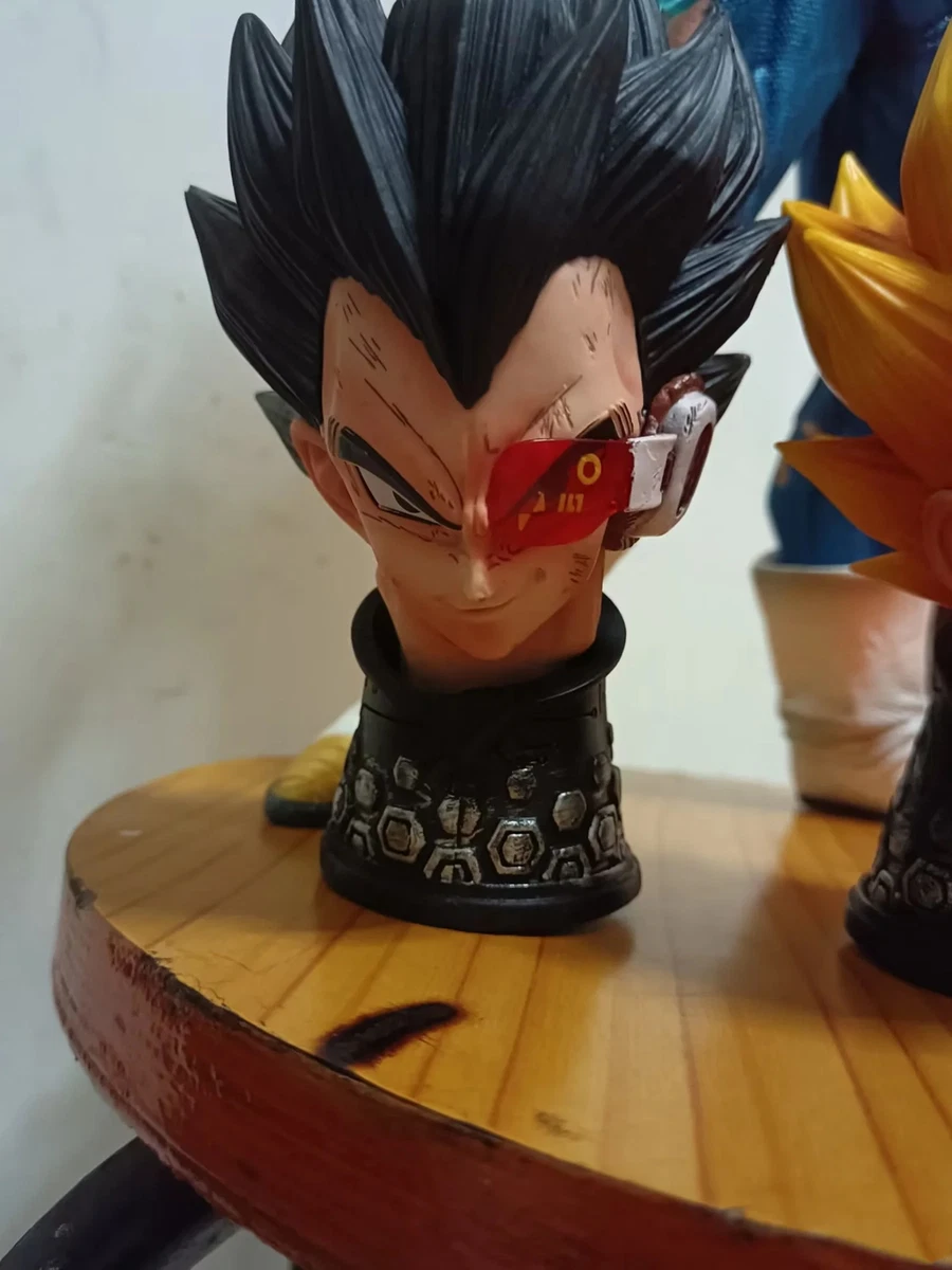 Vegeta Real Life