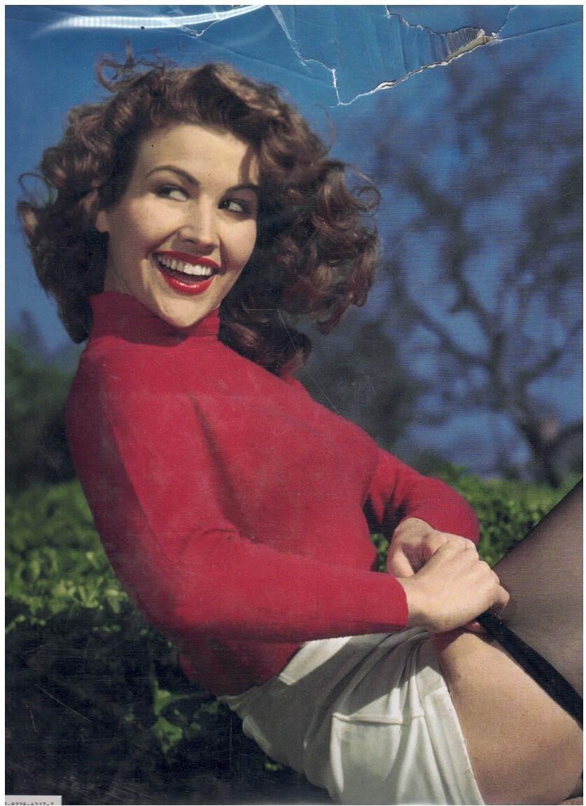 BERNARD OF HOLLYWOOD The Ultimate Pin-Up Book | eBay