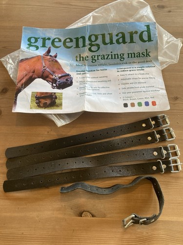 Bridle Head collar Muzzle Bit Harness Straps Handy Very Very Useful ...
