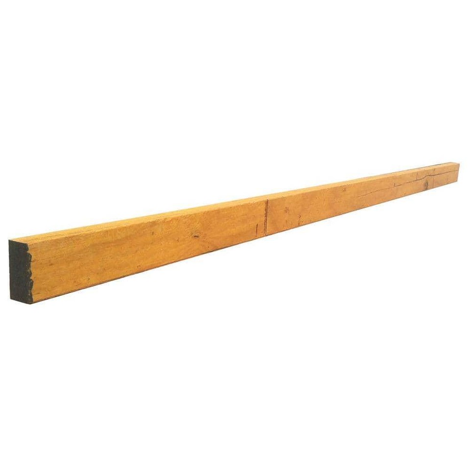 Boise Cascade Engineered Lumber 2"x4" Southern Pine Versa-Stud LVL ...