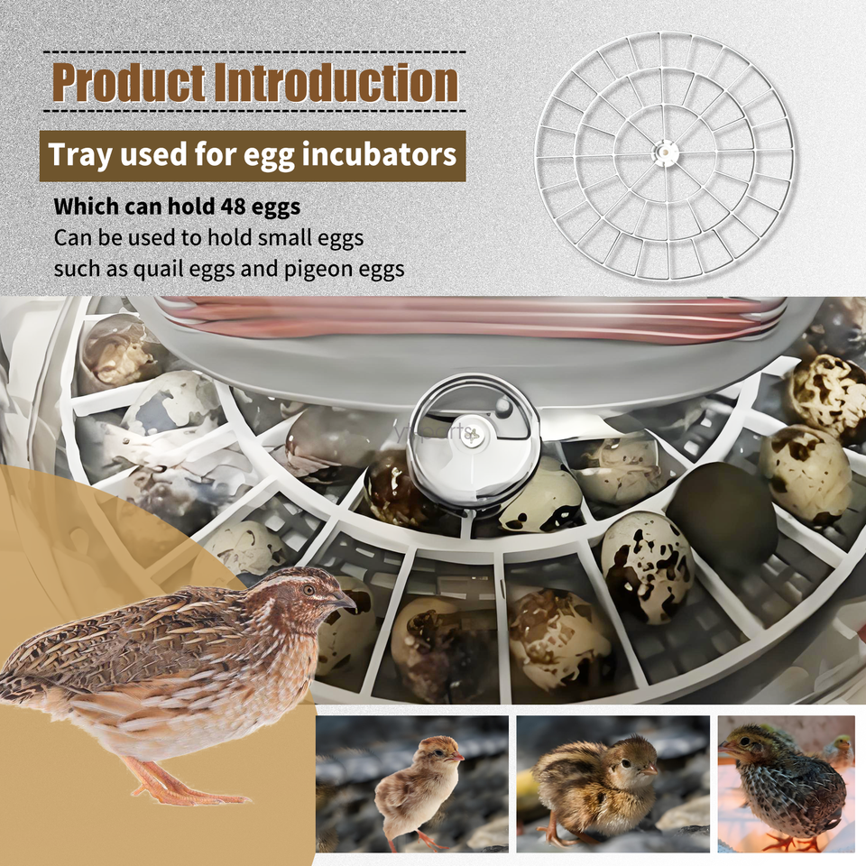 Egg Trays For Nurture Right 360 Egg Incubator Capacity 48(Small (Quail ...