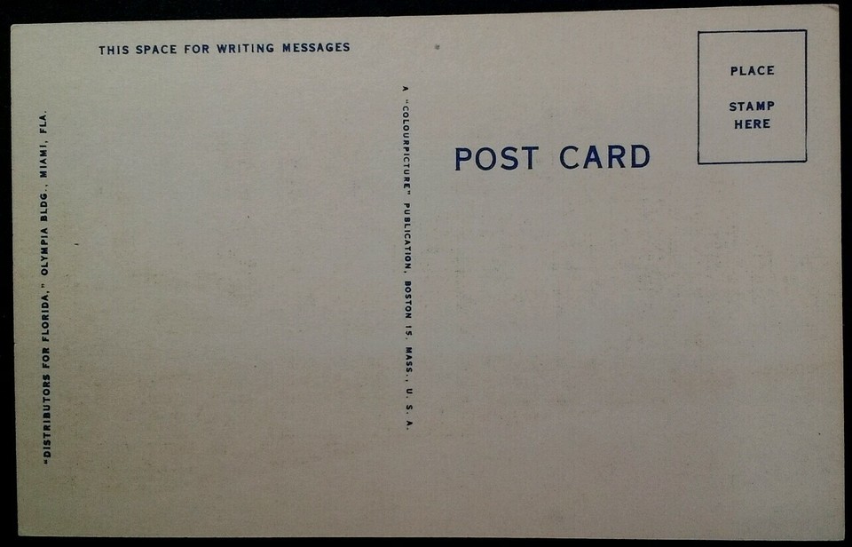 Miami Florida Postcard Vtg Early 1900s Bougenvillea Vine Flowers Street ...