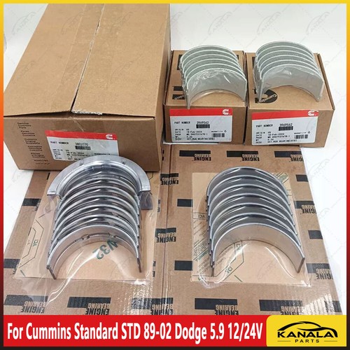 3969562 3802070 For Cummins Standard STD 89-02 Dodge 5.9 12/24V Rod ...