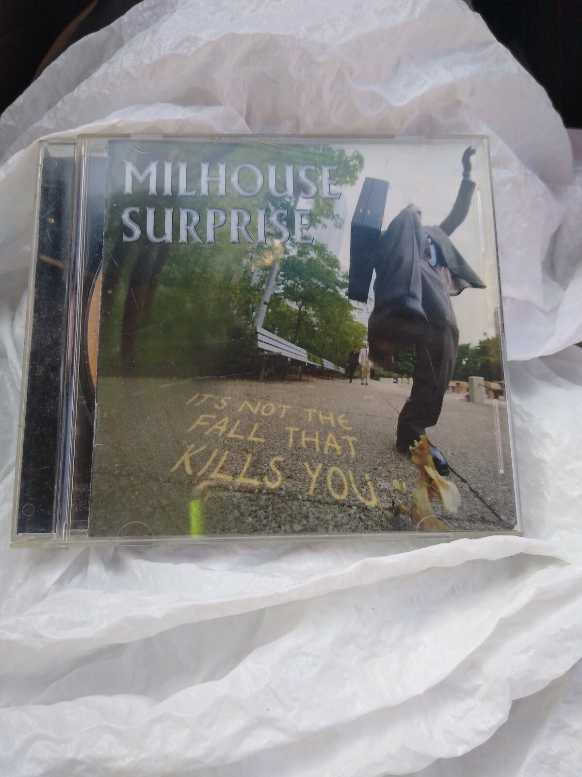 Fast 2 Day shipping 🇺🇸Milhouse Surprise- It's Not The FALL THAT KILLS ...