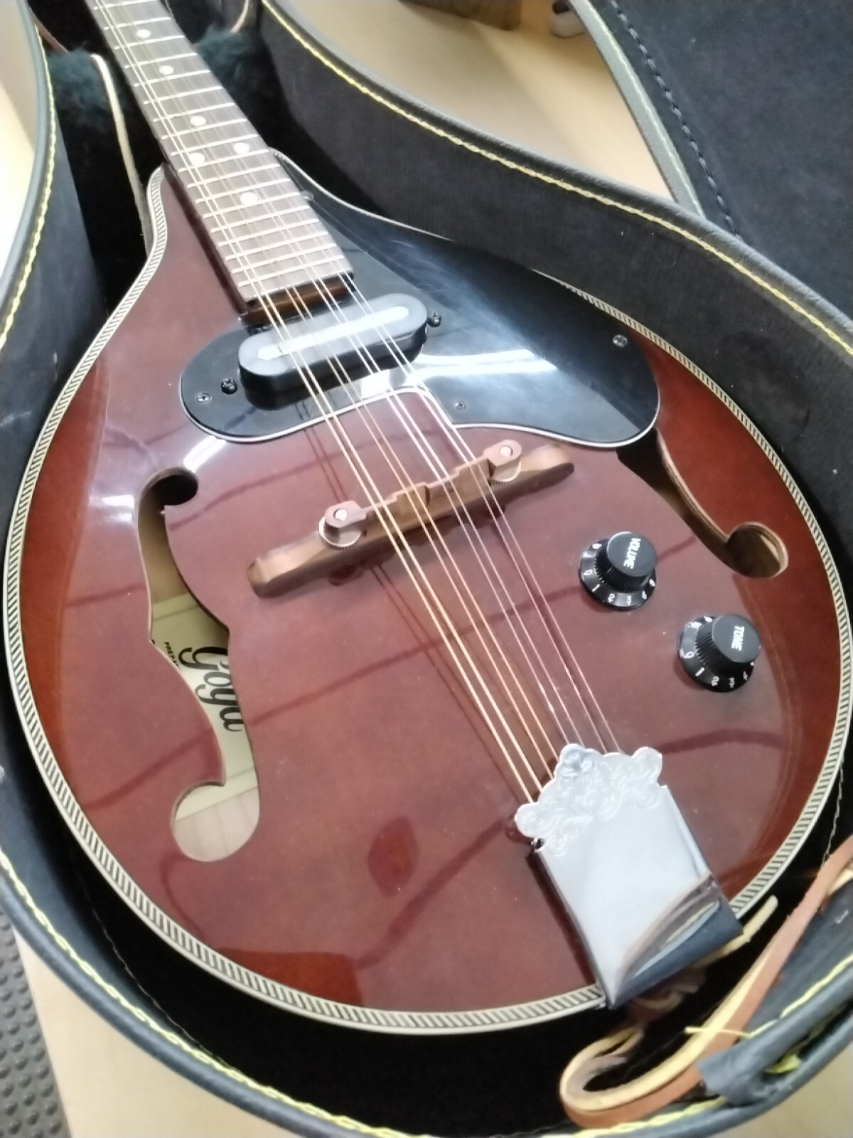 GOYA C.F.MARTIN GM23E Electric MANDOLIN MIK WITH ORIGINAL CASE | eBay