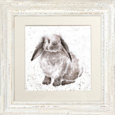 Wrendale Designs Framed Picture " Rosie" Rabbit - Various Frame Colours ...