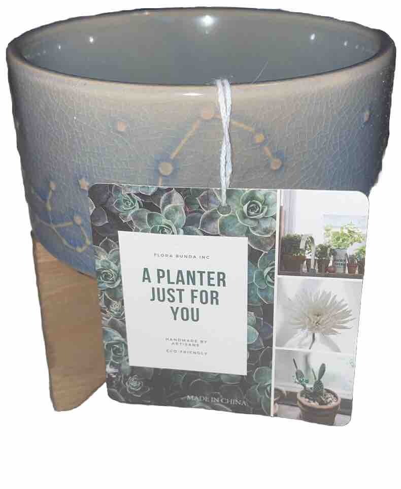 TJMAXX Constellations Plant Pot | eBay