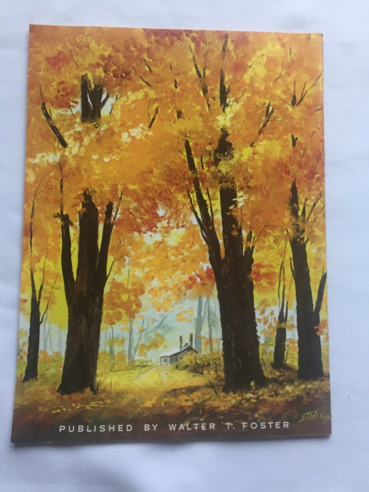 WALTER FOSTER PAINTING IN OILS COAST TO COAST by Carl Stricker # 149 ...