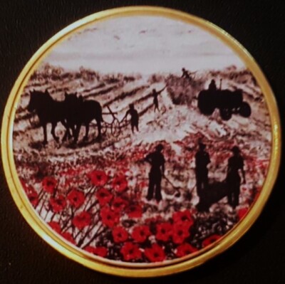 War Poppy Collection by Jacqueline Hurley "Back To The Land" Gold Coin ...
