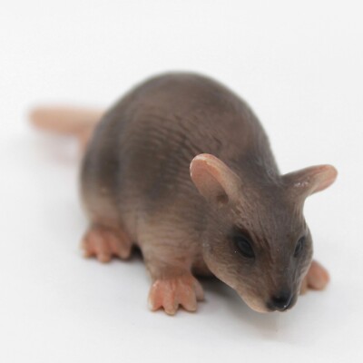 RAT 2" Schleich Animal Figure | eBay