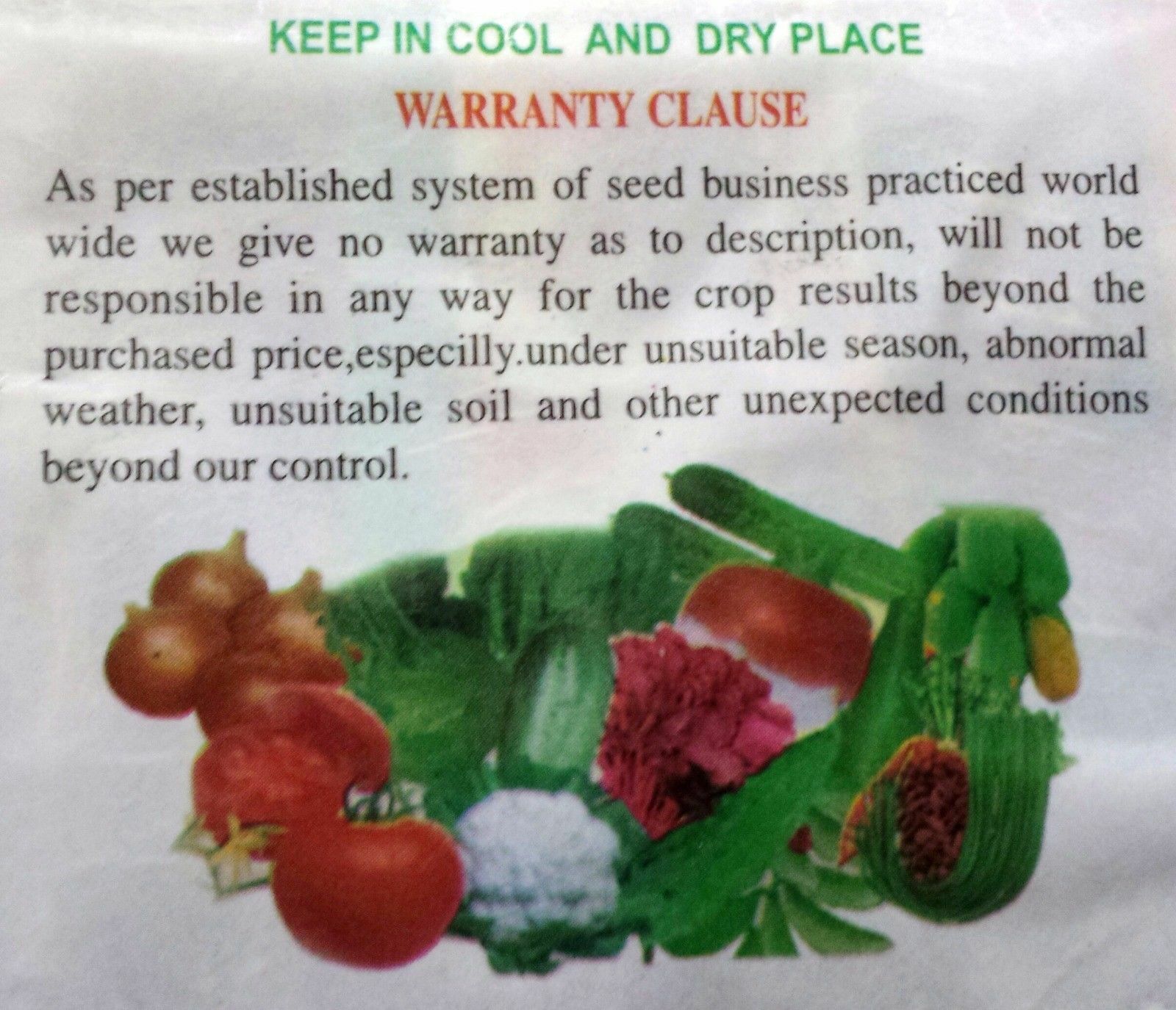 UK Garden: F1 Hybrid Long String Bean VIGOROUS VINE Botboti Lubi Urie ...