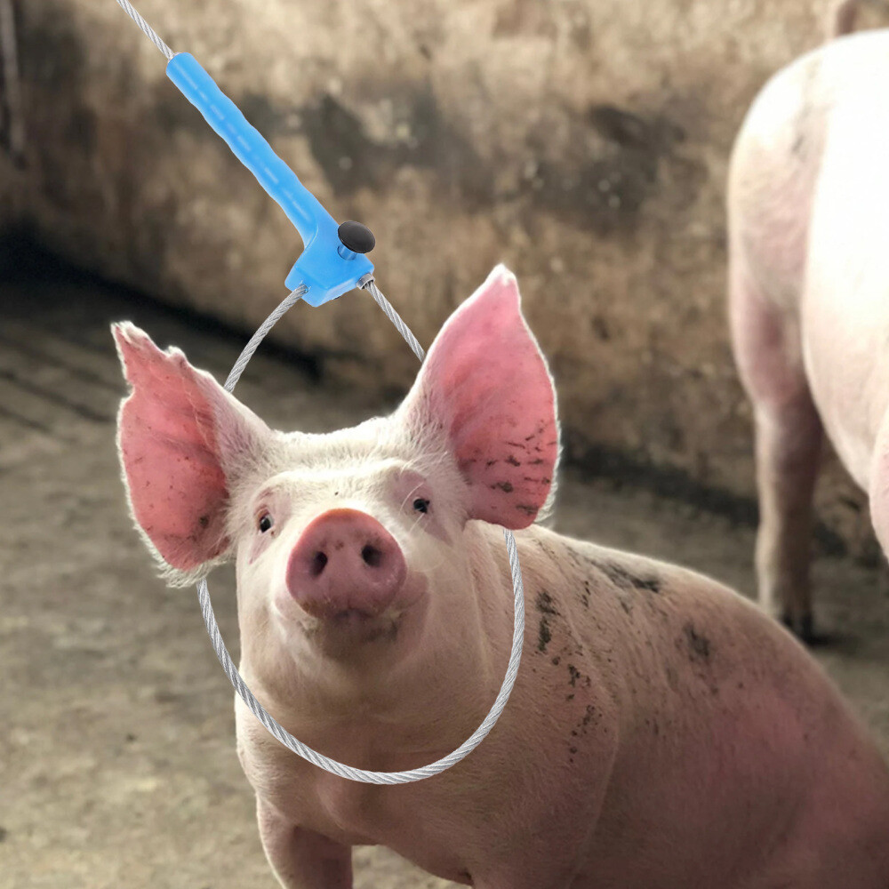 Cow Lamb Sheep Catcher Animal Control Pole Grab Bar Grabber | eBay