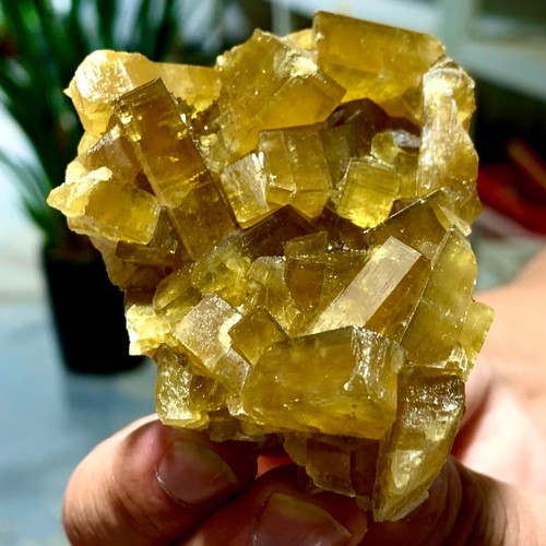 208G Shiny Golden Cuboid Barite Crystal Based on the Purple Spherical ...