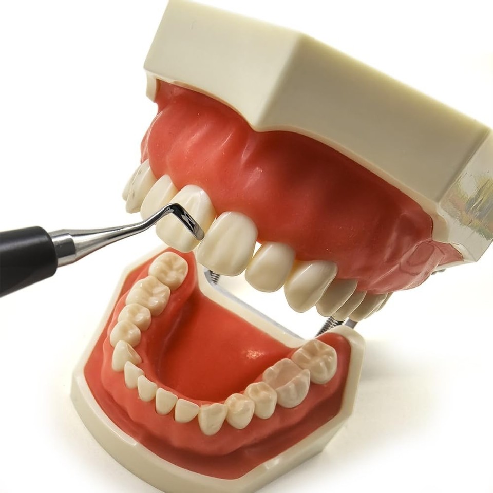 Dental Composite Resin Modeling Instrument Filling Spatula Assortment ...