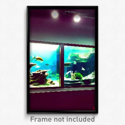 Pixel Art Poster - Spotted Aquarium (8 Bit Psychedelic Trippy Video ...