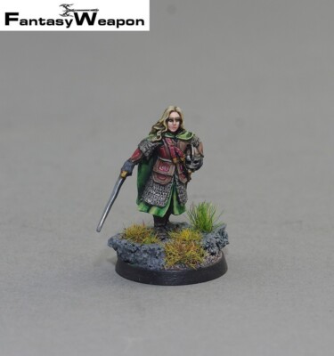 Eowyn - Rohan's Heroes West Pro Painted Lotr lord of the rings Gondor ...