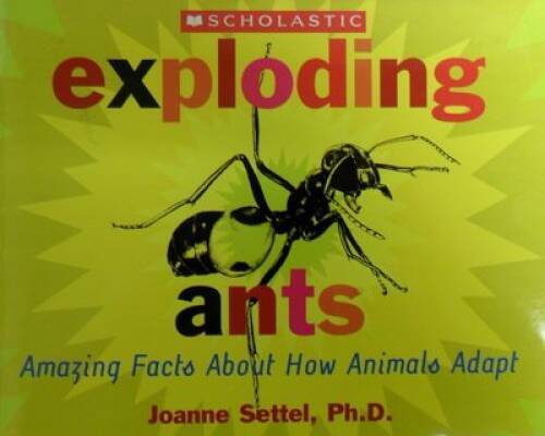 Exploding Ants - Paperback - GOOD | eBay