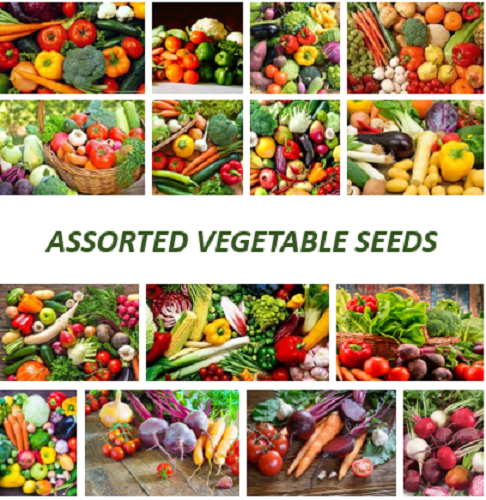 VEGETABLE MIXED SEEDS Vegetable Garden Assorted Vegetable Seeds | eBay ...