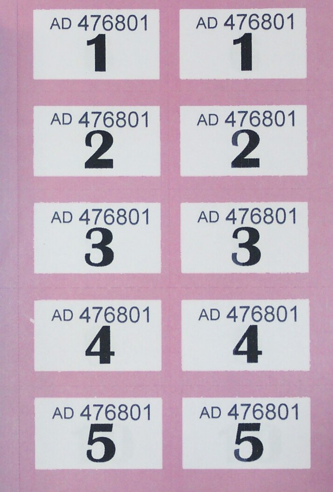 raffle ticket Full book of 1000 tickets pick a tombola colour with ...