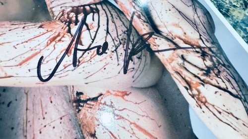 Anna Paquin Alexander Skarsgard Stephen Moyer - TRUE BLOOD - signed 8 x ...