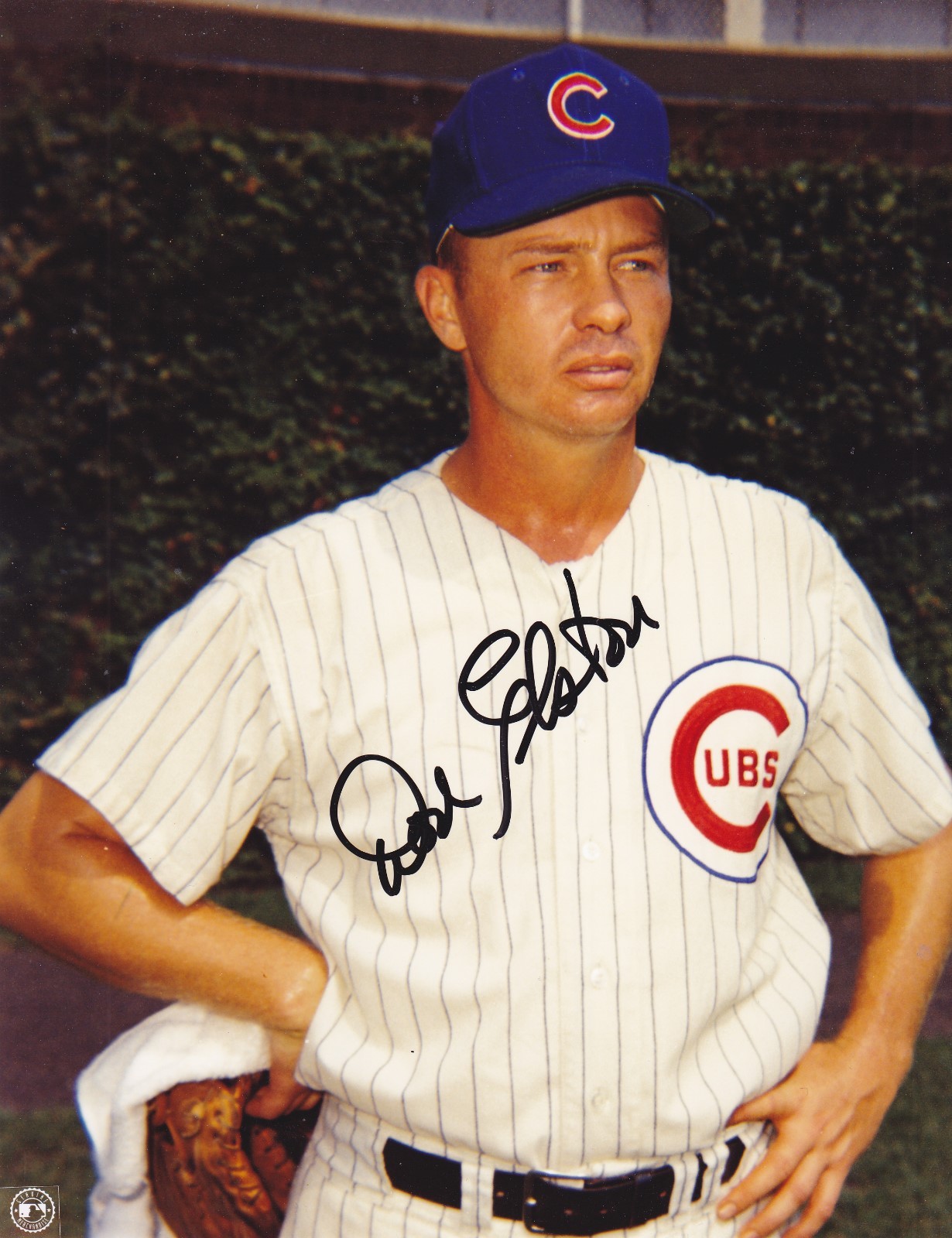 Don Elston signed 8x10 Chicago Cubs color photo (Dec) | eBay