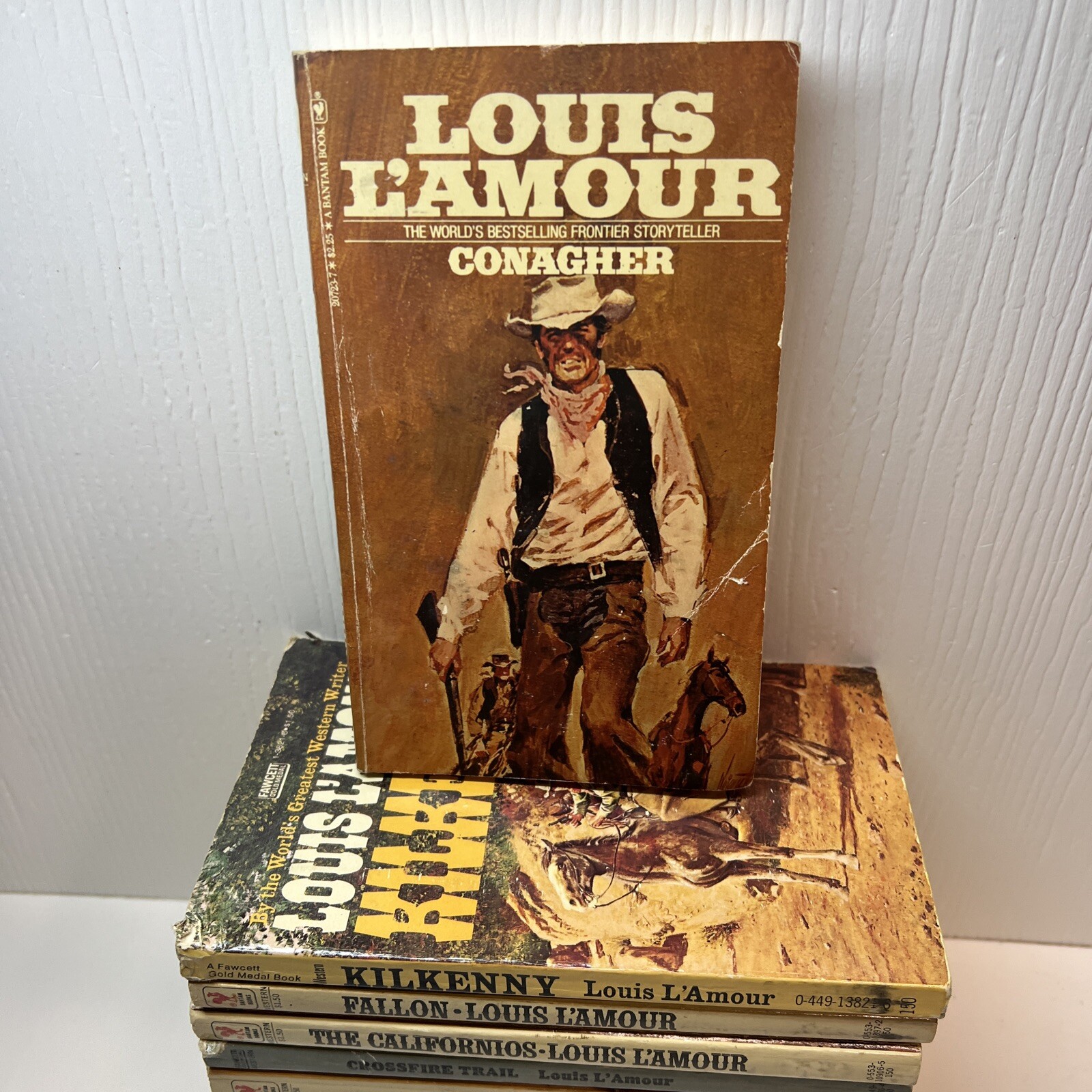 Book lot (12)︱Louis L'amour︱Vintage Paperbacks︱War Party︱Radigan ...