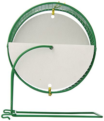 SPV90012 Wire Mesh Hamster Wheel Toy for Small Animals 6-Inch Colors ...