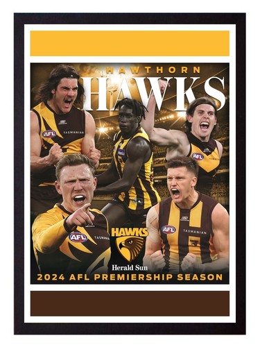 Framed 2024 Hawthorn Hawks AFL Football Poster - 45cm x 32cm x 3cm | eBay